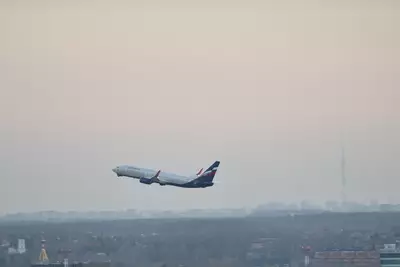 Di lapangan terbang Sheremetyevo, sukarelawan dan pakar menguji terminal baru dalam