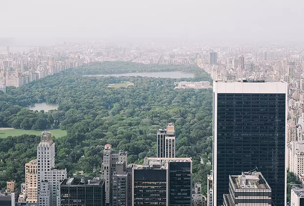 Tsakiya Park, New York