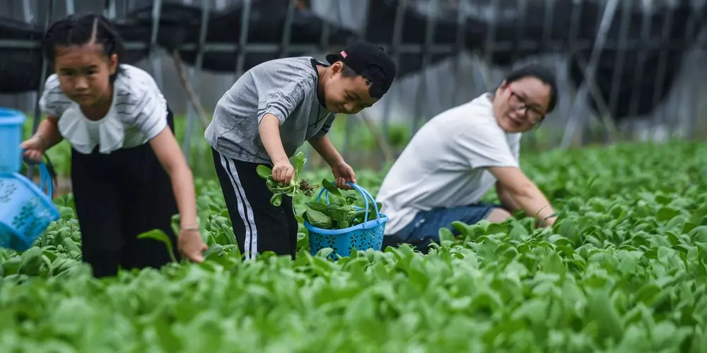 চেচিয়াং প্রদেশে Agroterourism