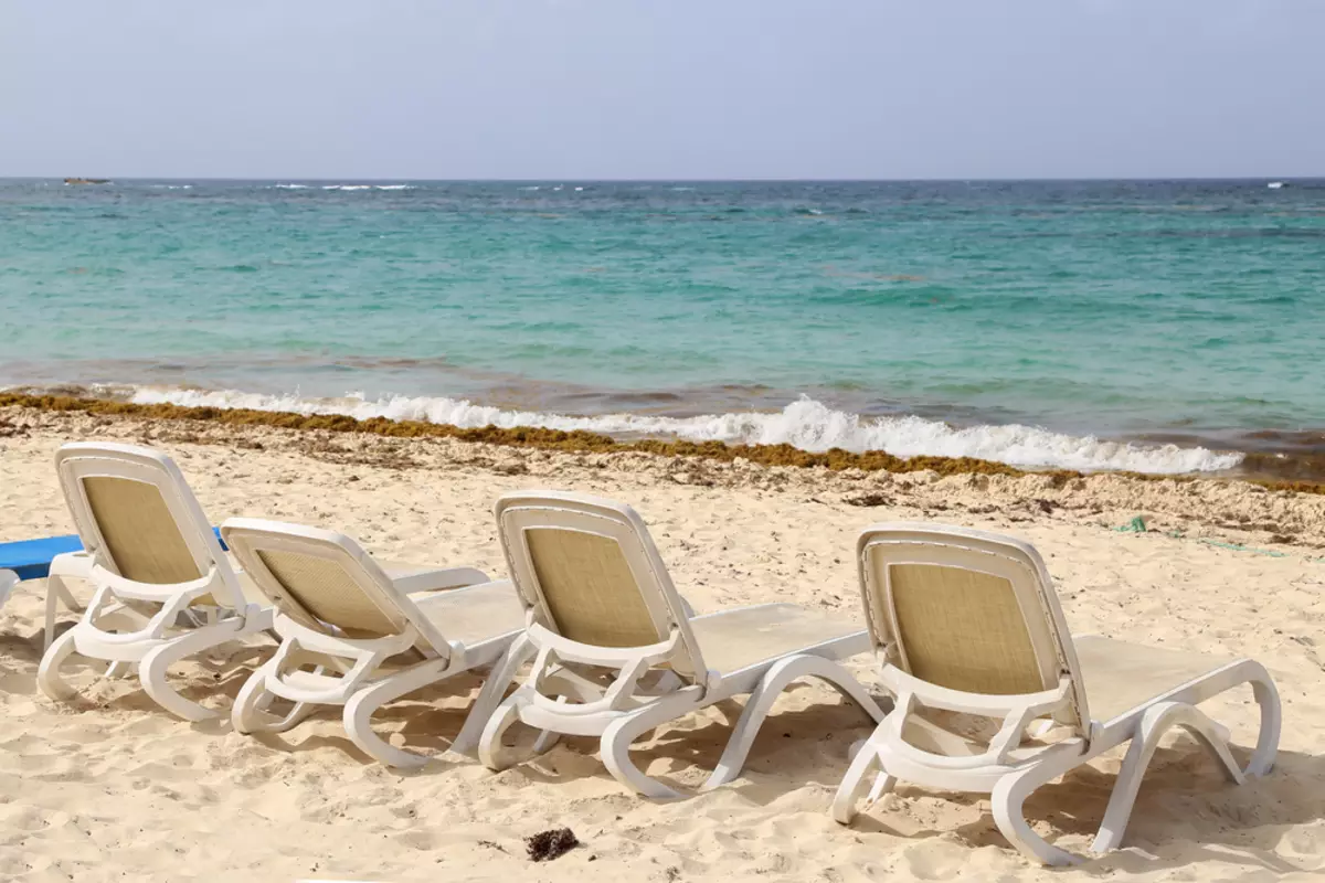 Russesch Fra huet d'Schema vun der Täuschung op der Plage vun der Tierkei opgedeckt