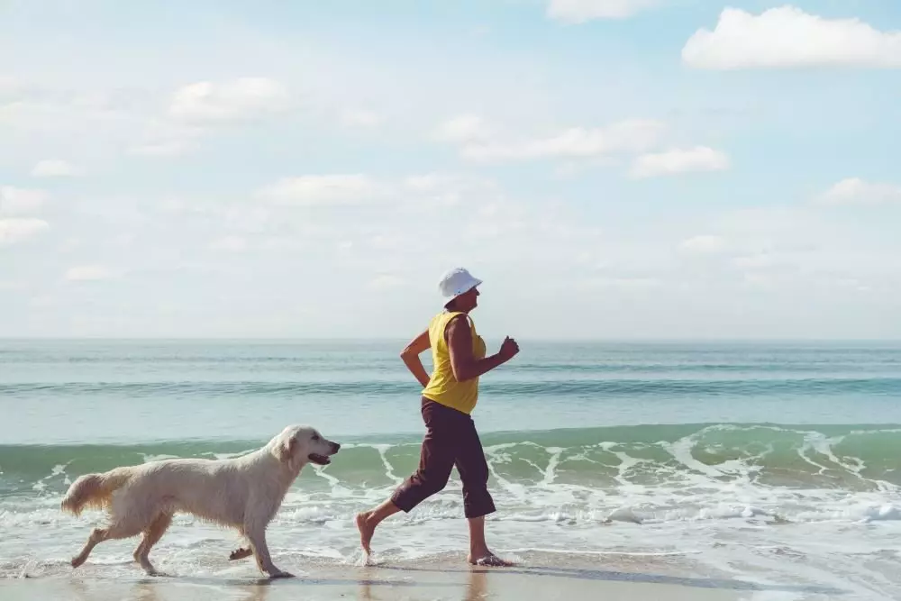 Nel ministero delle situazioni di emergenza offerte di punire i proprietari delle spiagge dietro i vacanzieri con gli animali