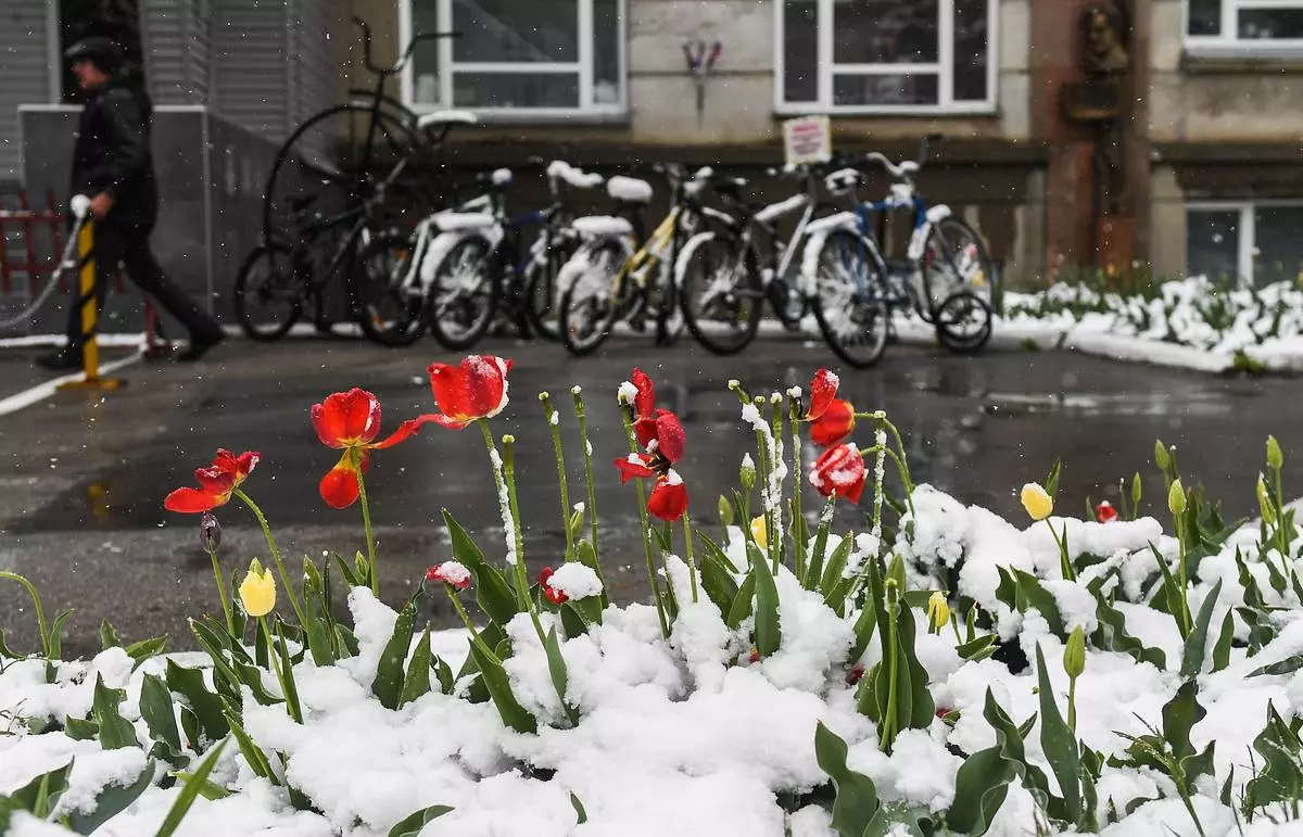 Wettervorhersage: Schnee im Juni Falls in Moskau - Portal / News