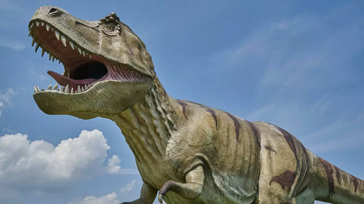 V Austrálii, nalezený dinosaurus zbytků 95 milionů let - portál / novinky