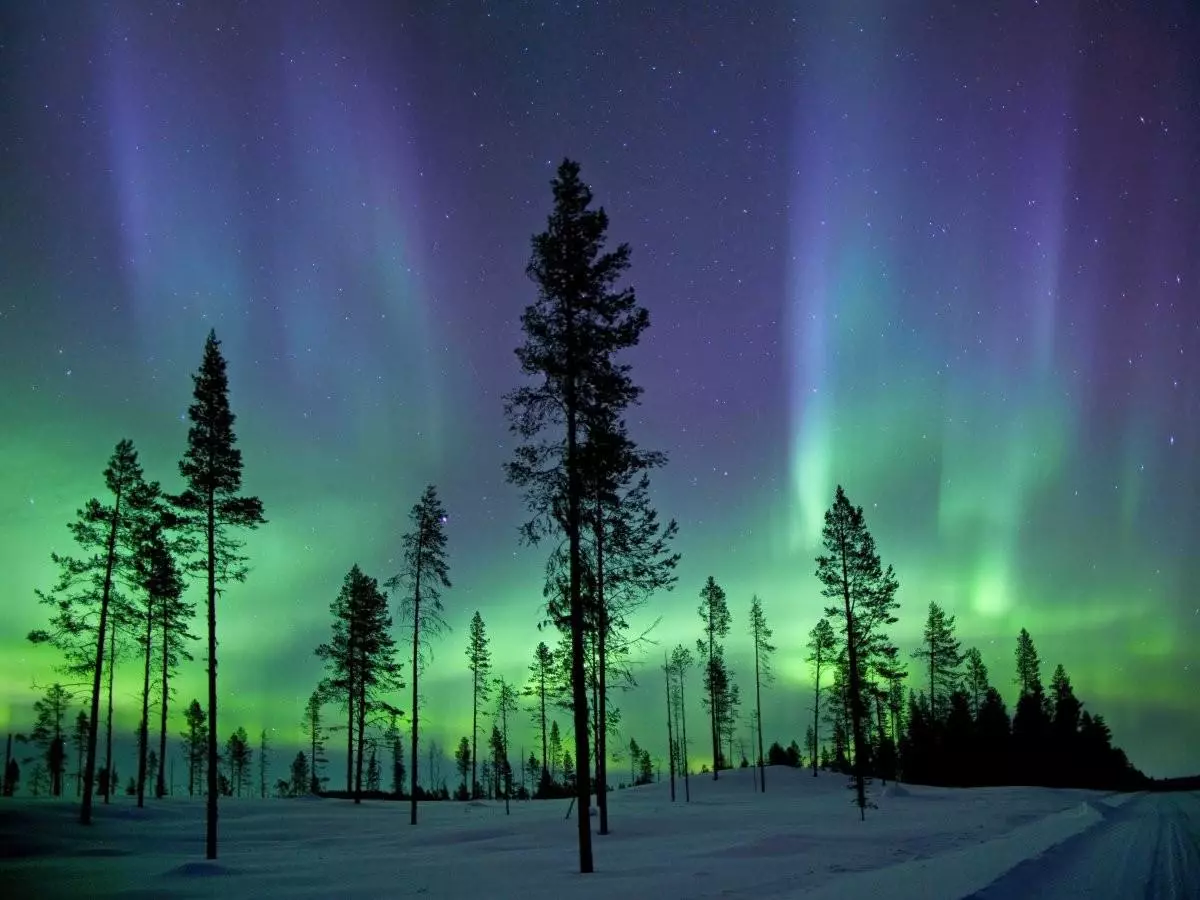 Hãy thử niềm vui thực sự từ loại Radiance Bắc ở Lapland.